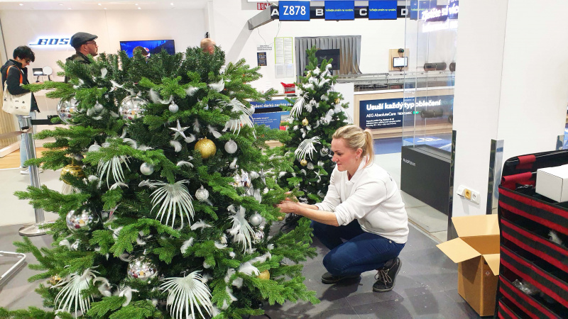 Alza showroom | LAALU